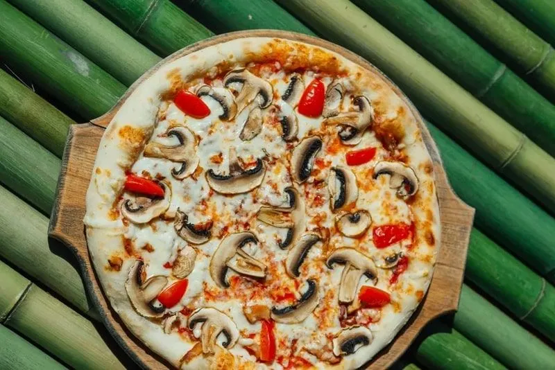 Woki-Toki Franchise Cost & Fees | Opportunities And Investment Information