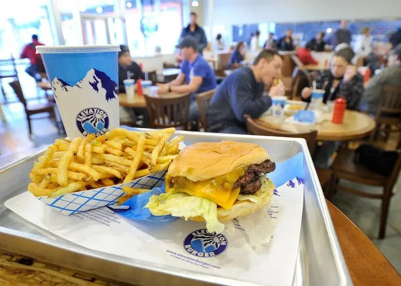 Elevation Burger Franchise For Sale | Cost and Requirements